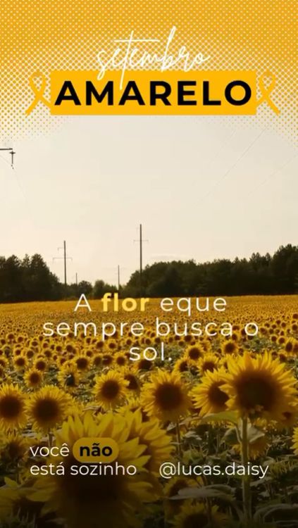 Setembro Amarelo – Daisy Lucas